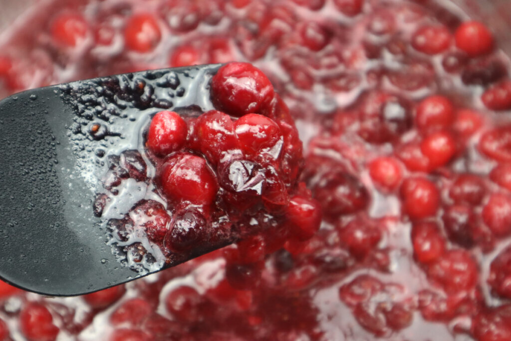 Easy Fresh Cranberry Sauce Recipe with Orange Juice - The Freckled Cook