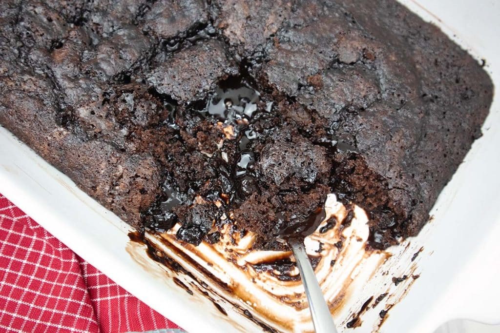 Easy Hot Fudge Pudding Cake Recipe - The Freckled Cook
